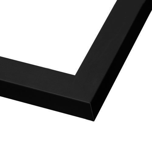 Canada gosling exploring Framed Print by Trish Harmon - Trish Harmon